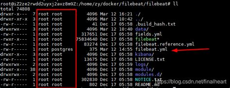 Exiting Error Loading Config File Open Filebeat Yml Permission
