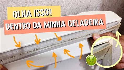 Como Limpar Borracha Da Geladeira Passo A Passo Sua Geladeira Vai
