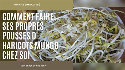 COMMENT FAIRE SES PROPRES POUSSES D HARICOTS MUNGO CHEZ SOIN39 YouTube