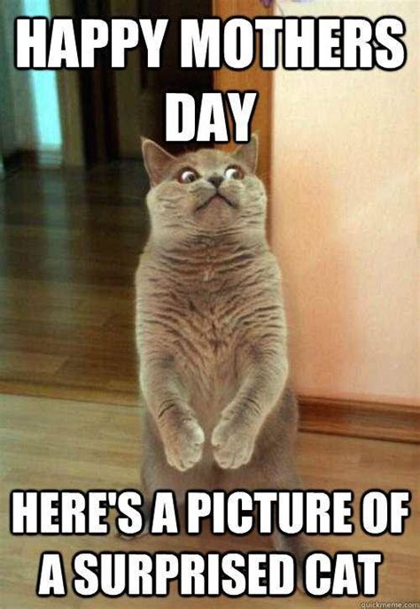 24 Funny Memes For Saying Happy Mothers Day To Your Mom Funny Cat Captions Cat Quotes Funny