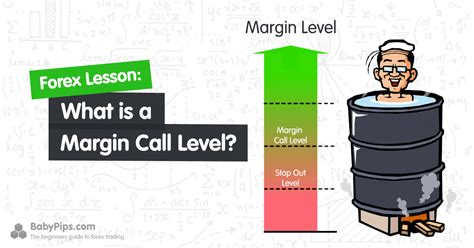 Unveiling The Secrets A Comprehensive Guide To Forex S Margin