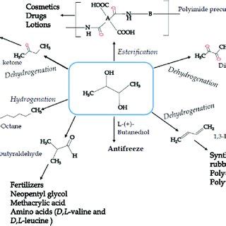 The Metabolic Pathways For 2 3 Butanediol Synthesis In Bacteria