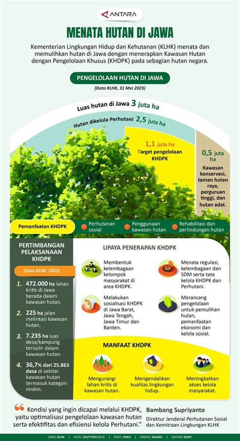 Menata Hutan Di Jawa Infografik ANTARA News