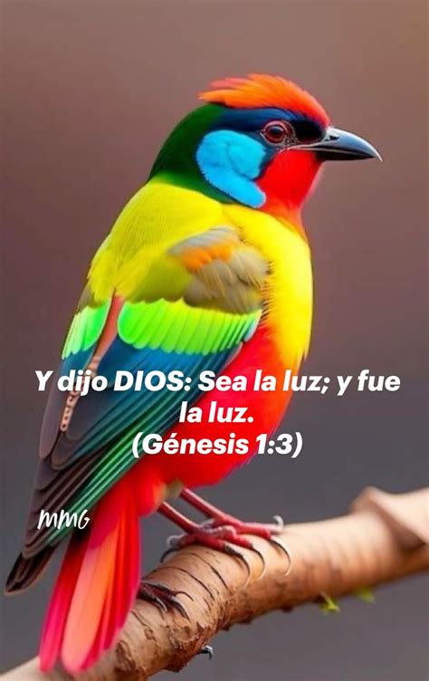 Y dijo DIOS Sea la luz y fue la luz Génesis 1 3 in 2024