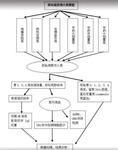 Csdn