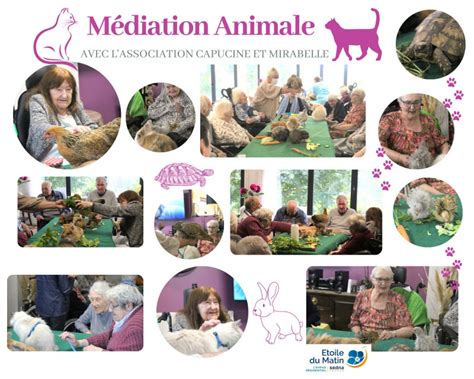 MÉDIATION ANIMALE AVEC LASSOCIATION CAPUCINE ET MIRABELLE Résidence
