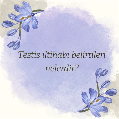Testis iltihabı belirtileri nelerdir Ne Demek Zıt Anlamı Eş Anlamı