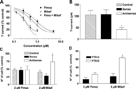 A inhibition of T type Ca 2 ϩ channel currents in undifferentiated