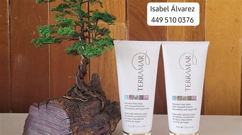 MASCARILLA INTENSIVA PARA EL CABELLO TERRAMAR YouTube