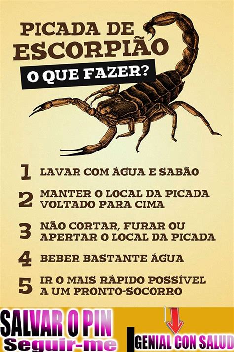 O que fazer em caso de picada de escorpião Emergency care Medical