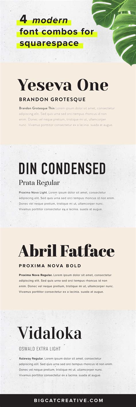 The 4 Best Modern Font Pairs For Squarespace Big Cat Creative