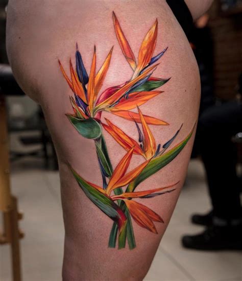 Pin By Meredith Cook On Tattoo Ideas Bird Of Paradise Tattoo