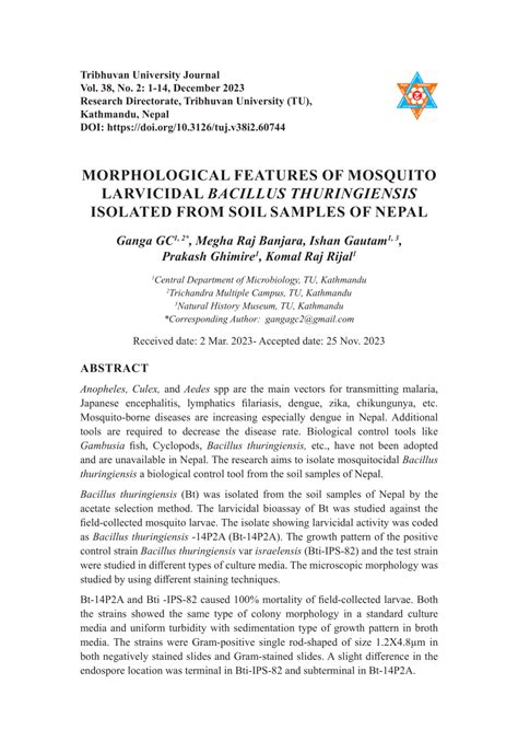 PDF Morphological Features Of Mosquito Larvicidal Bacillus
