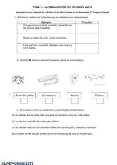 Organización de los seres vivos Idioma español o castellano Curso