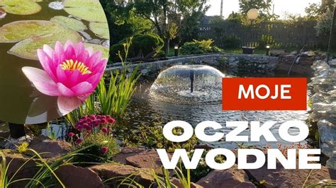 Oczko Wodne Staw Ogrodowy YouTube