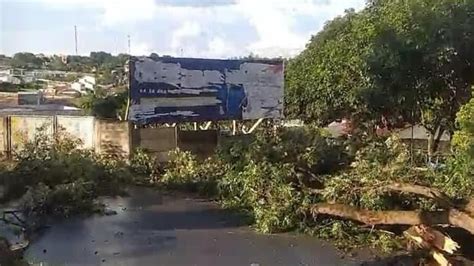 Temporal causa estragos em Itapeva SP Queda de árvores postes e fios