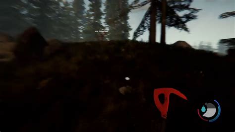 LIVE VOUS NE DORMIREZ PAS CE SOIR THE FOREST YouTube