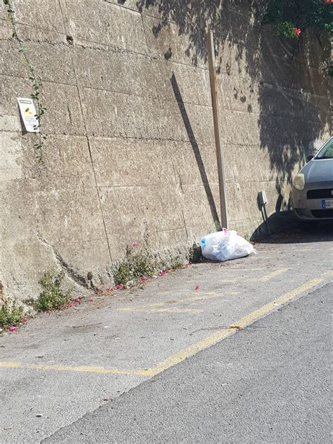 Spazzatura Cartello Area Videosorvegliata Telecamere Mai Montate