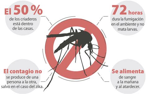Dengue Municipalidad De Berazategui