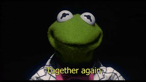 Kermit The Frog Muppets Find Share On GIPHY
