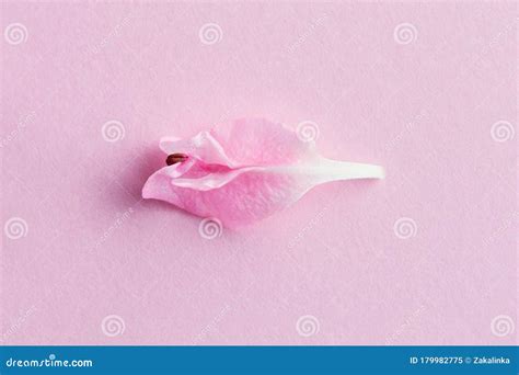 White Around Clitoris Telegraph