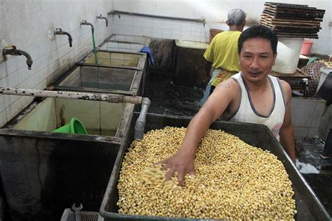 Harga Kedelai Impor Kualitas A Terus Merangkak Naik