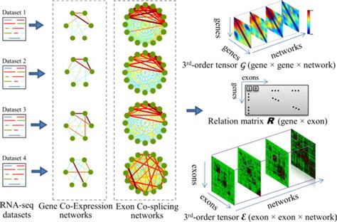 Illustration Of The Tensor Model For Collections Of Networks From Each