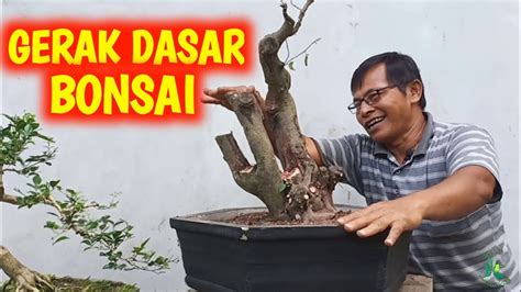 MEMBUAT GERAK DASAR BONSAI SEPANG YouTube