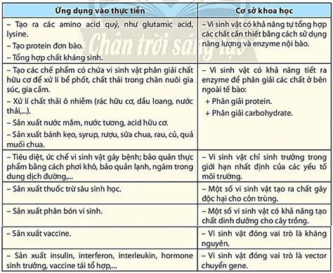 Sinh học 10 Chân trời sáng tạo Bài 27 Ứng dụng vi sinh vật trong thực tiễn