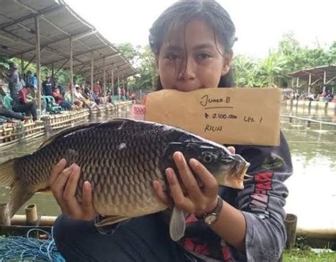 5 Umpan Mancing Ikan Mas Terbaik Yang Mudah Didapat