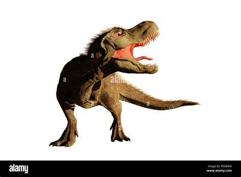 Tyrannosaurus Rex Roaring T Rex Dinosaur D Rendering Isolated On