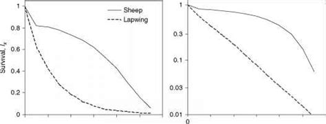 Survivorship Curves