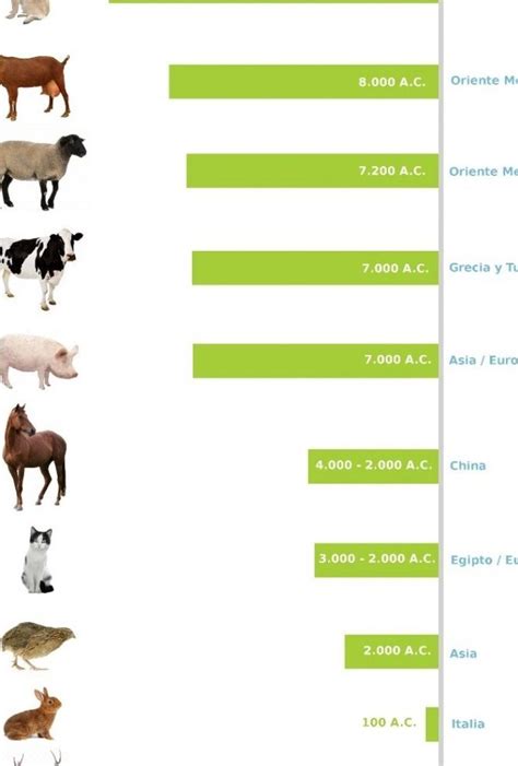 Qué plantas y animales se domesticaron en el Neolítico Talayots