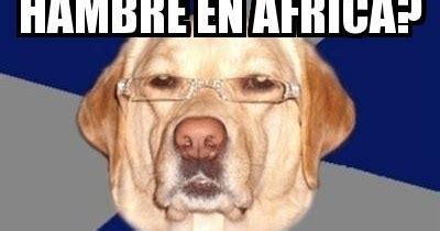 Relación entre Humor y Racismo Trabajo Social es