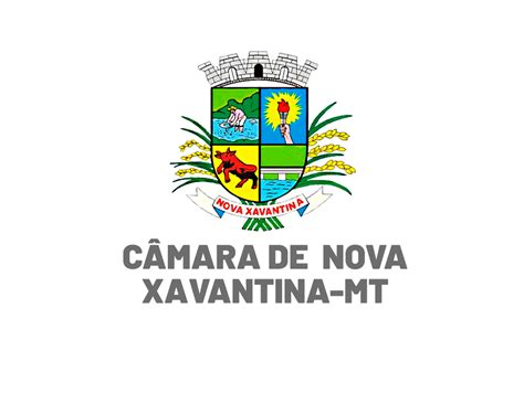 Concurso C Mara De Nova Xavantina Mt Cursos Edital E Datas Gran