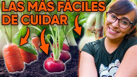 Las 7 Hortalizas Ideales Para Tu Huerto 2024 Una Planta
