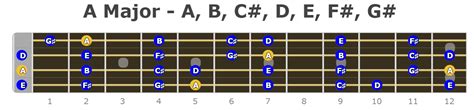 Major Bass Scales Chart Chord Chords Arpeggio Arpeggios Acordes Scales