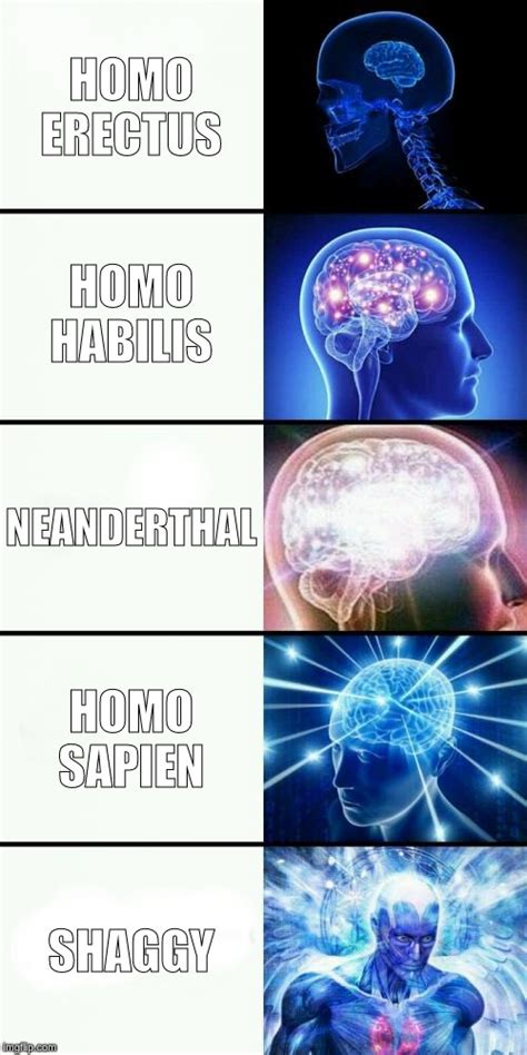 Ultimate Expanding Brain Imgflip