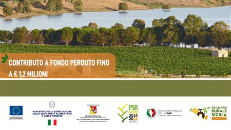 Rendi più competitiva la tua azienda agricola con i nuovi bandi per la