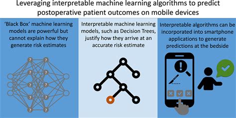 leveraging interpretable machine learning algorithms to predict postoperative patient outcomes