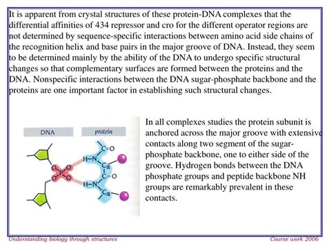 PPT Protein Nucleic Acid Interactions General Principles PowerPoint