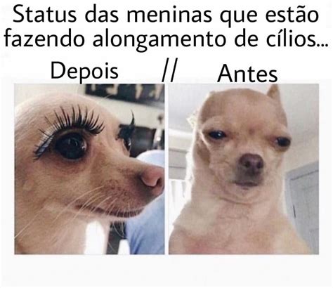 40 Memes Engraçados do Momento Fatos incríveis da vida