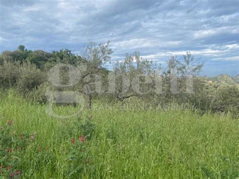 Terreno In Vendita A Patti Contrada Sisa M Locali