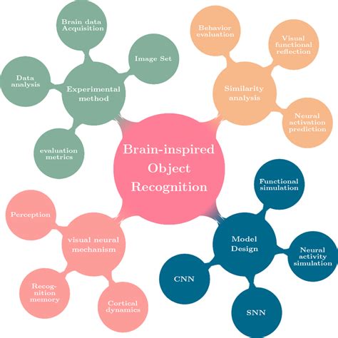 a review of brain inspired models for visual object recognition download scientific diagram