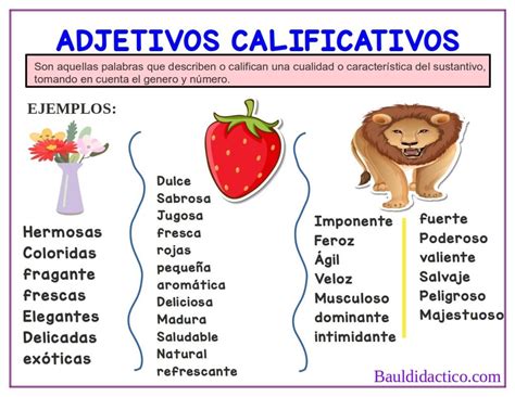 Adjetivos Español Baúl Didáctico