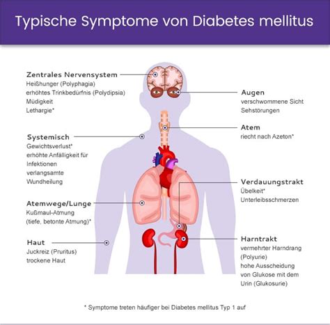 ᐅ Diabetes mellitus Zuckerkrankheit HealthExpress