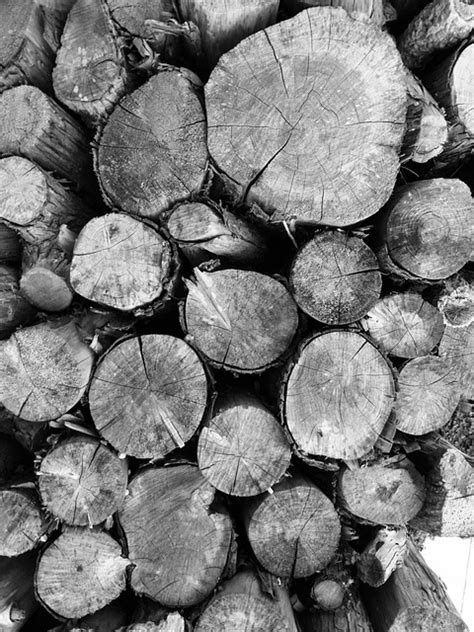 Stos Drewna Drewno Wylesianie Pnie Darmowe Zdj Cie Na Pixabay Pixabay