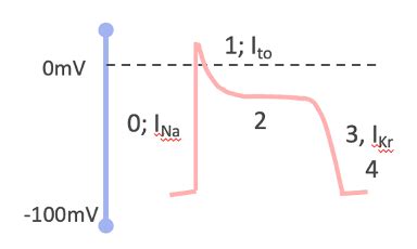 Week 1 The Principles Of Pharmacology The Pharmacodynamics And