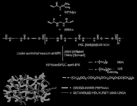 Schematic Diagram Showing Components Used For The Synthe Sis And The