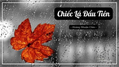 Bộ sưu tập hình ảnh chiếc lá cuối cùng đầy đủ chất lượng 4K với hơn 999